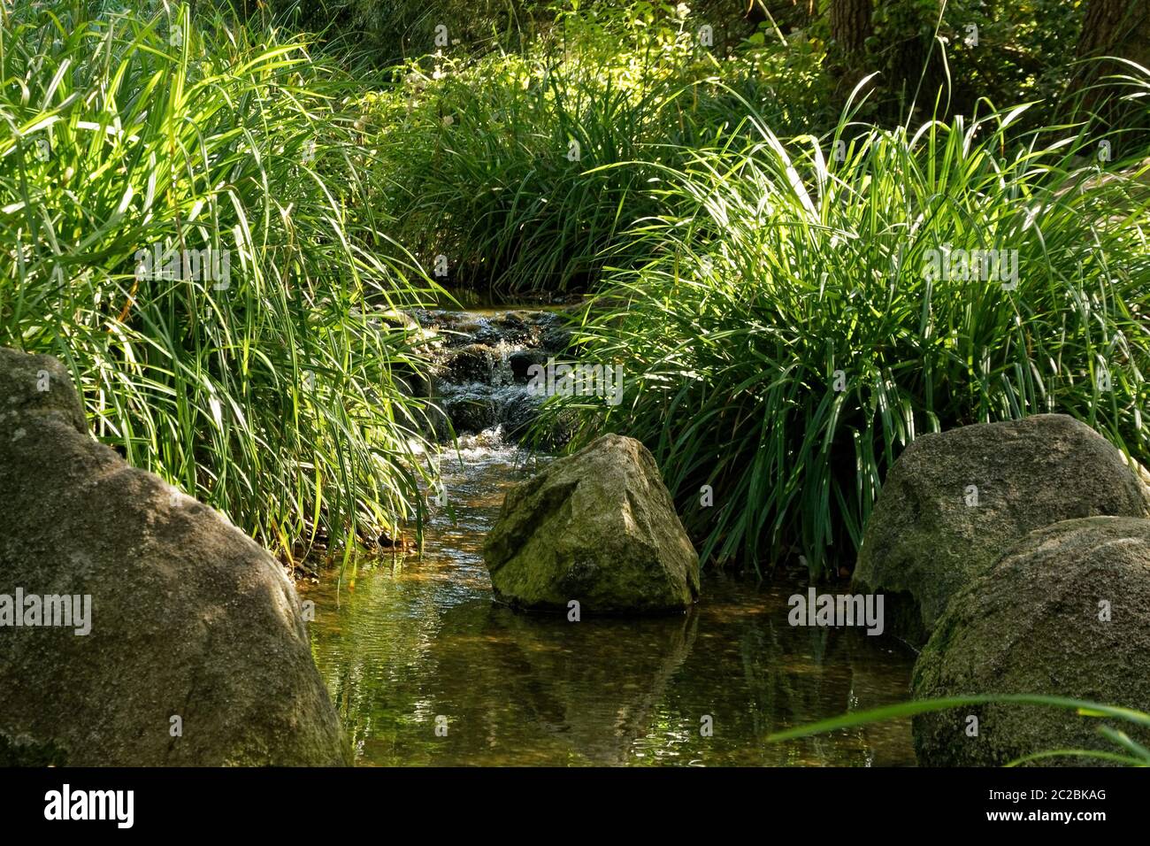 Reeds creek hi-res stock photography and images - Alamy