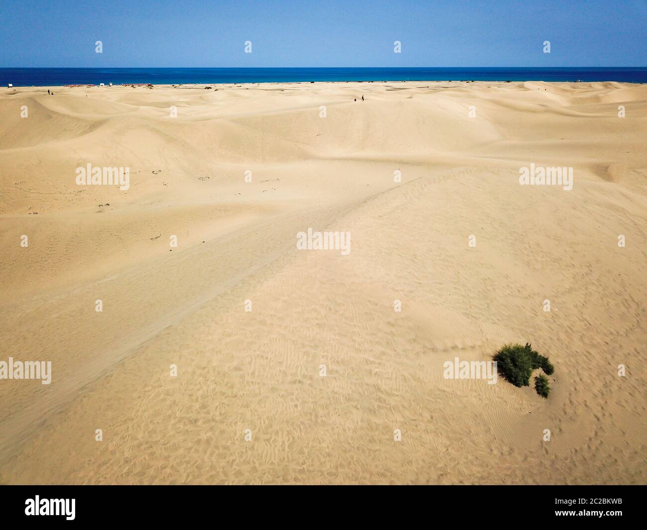 desert withered earth sand Stock Photo - Alamy