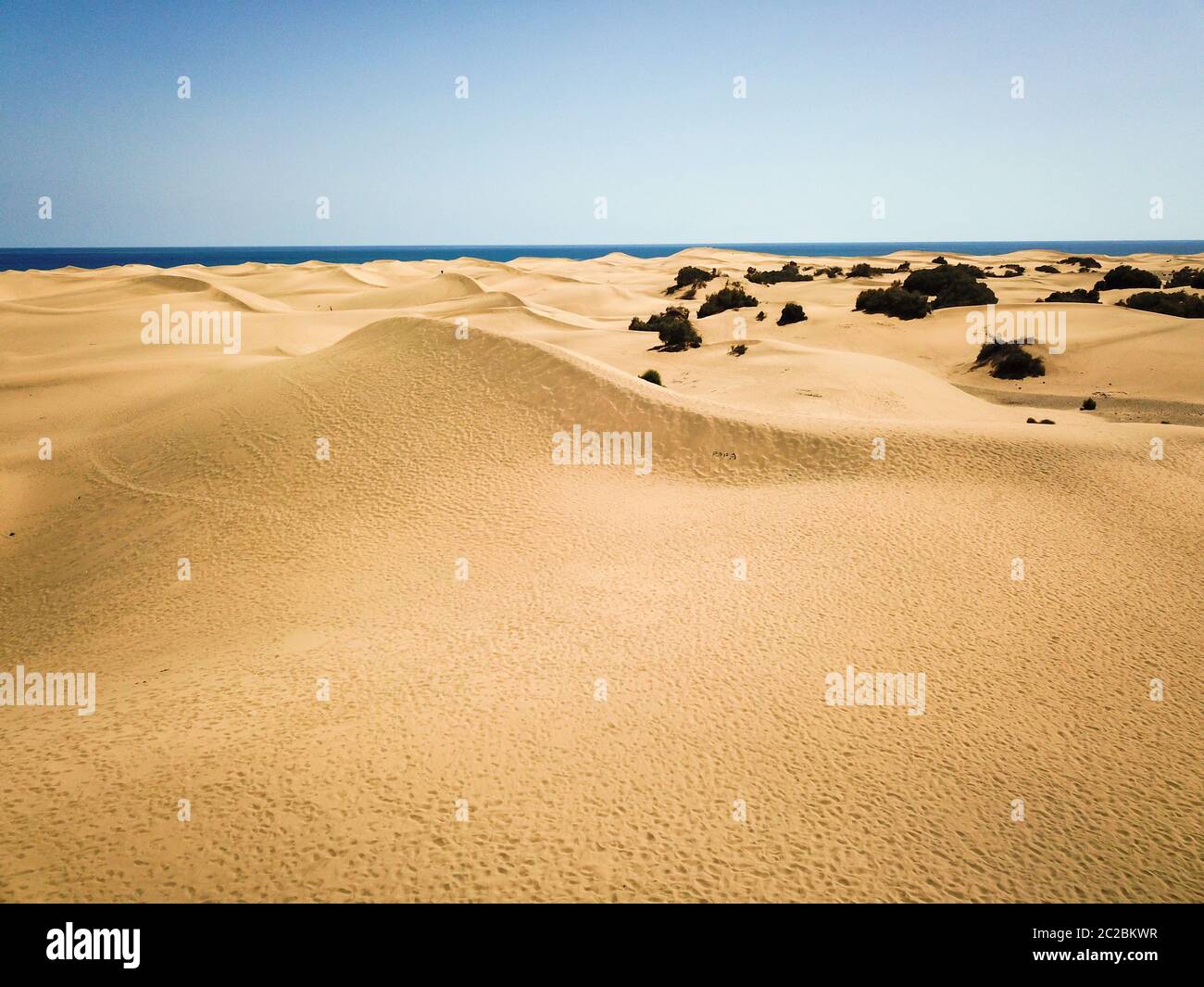 desert withered earth sand Stock Photo - Alamy