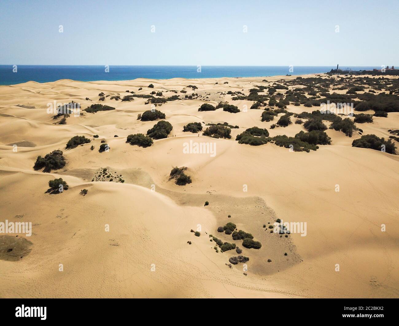 desert withered earth sand Stock Photo - Alamy