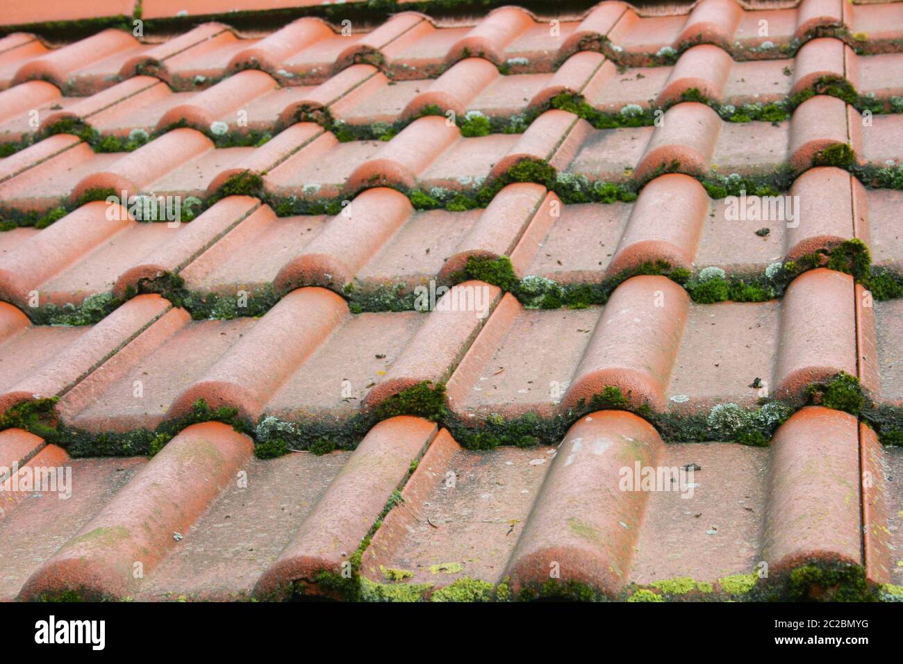 Pan tiles hi-res stock photography and images - Alamy