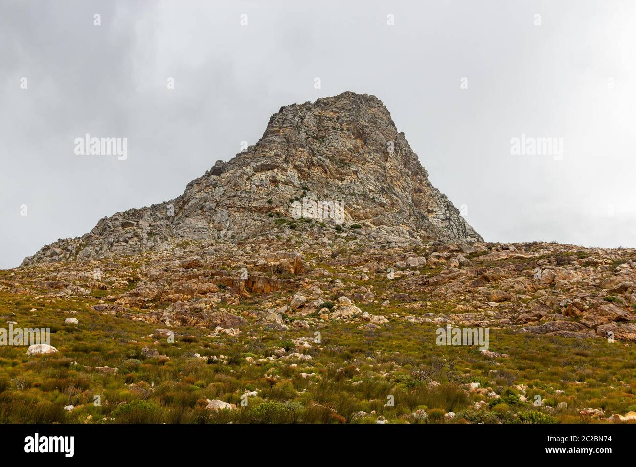 Rooi hi-res stock photography and images - Alamy