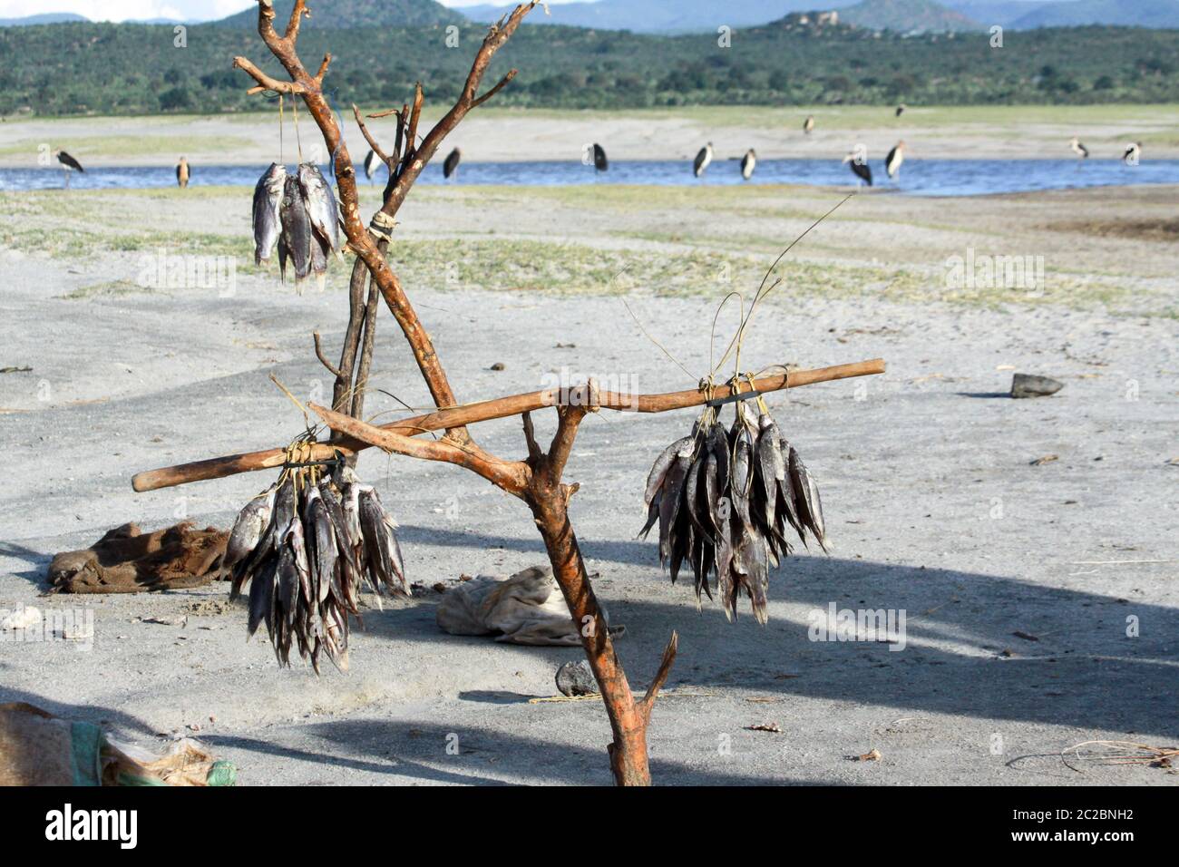 Africa, Tanzania, Lake Eyasi National Park Fishing in the lake The ...