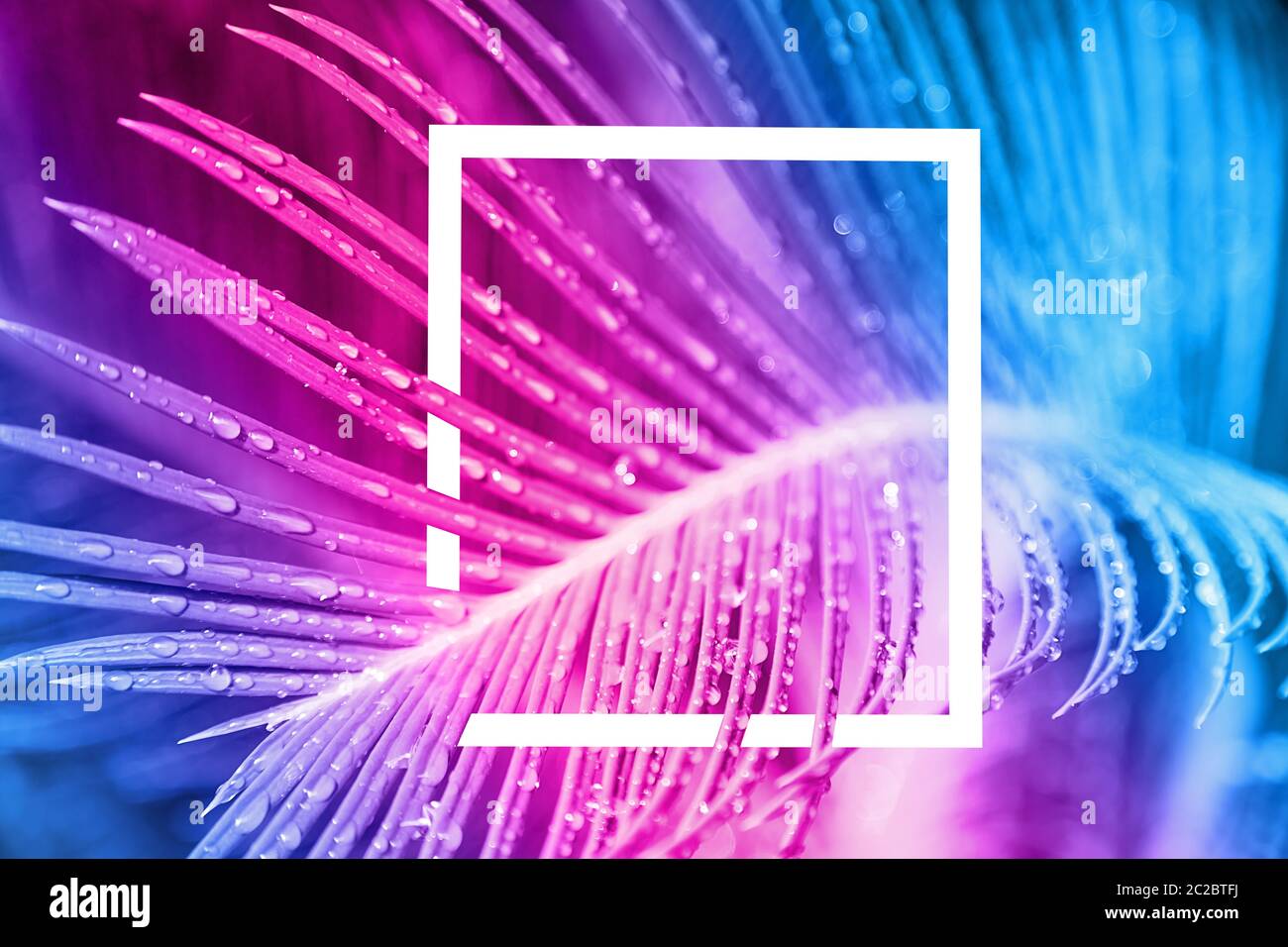 Close-up of exotic tropical leaves in the field painted in neon light ...