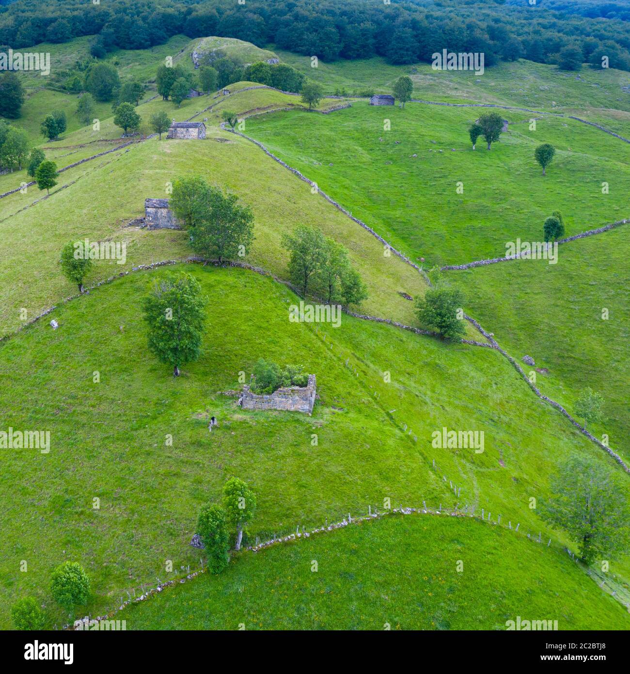 Aerial view with a drone of the spring landscape of pasiegas cabins and ...