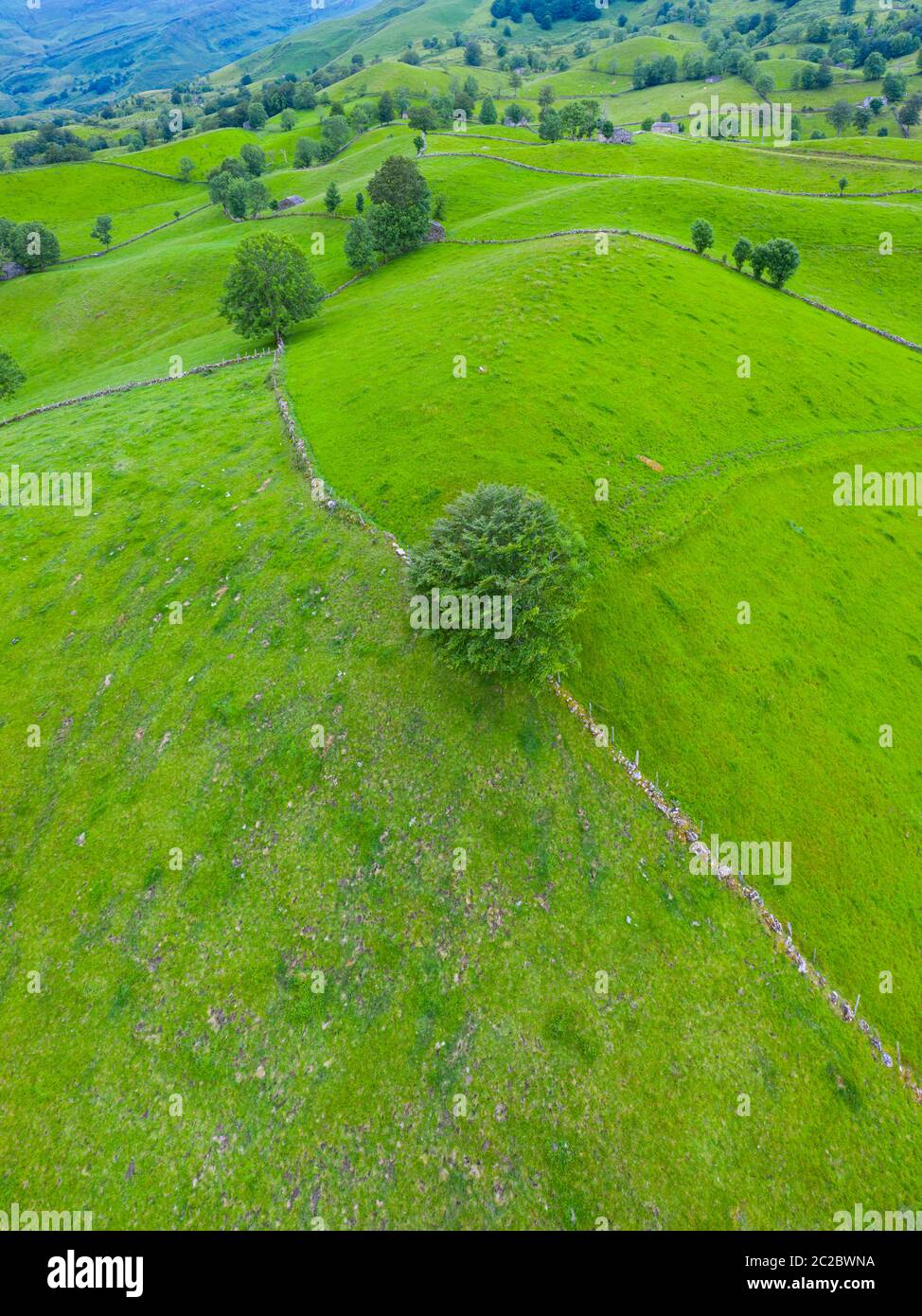 Aerial view with a drone of the spring landscape of pasiegas cabins and ...