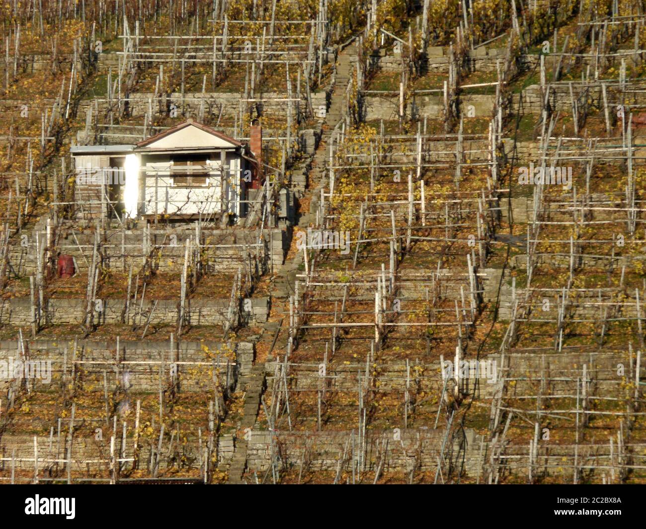 Vineyard with natural stone walls and single hut Stock Photo - Alamy