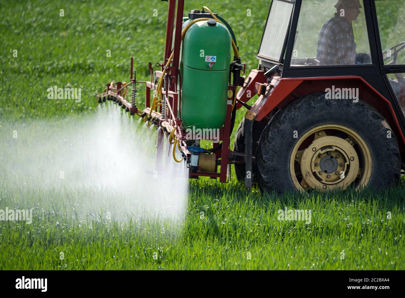 Spraying the field with growing grain. Crop protection against pests ...