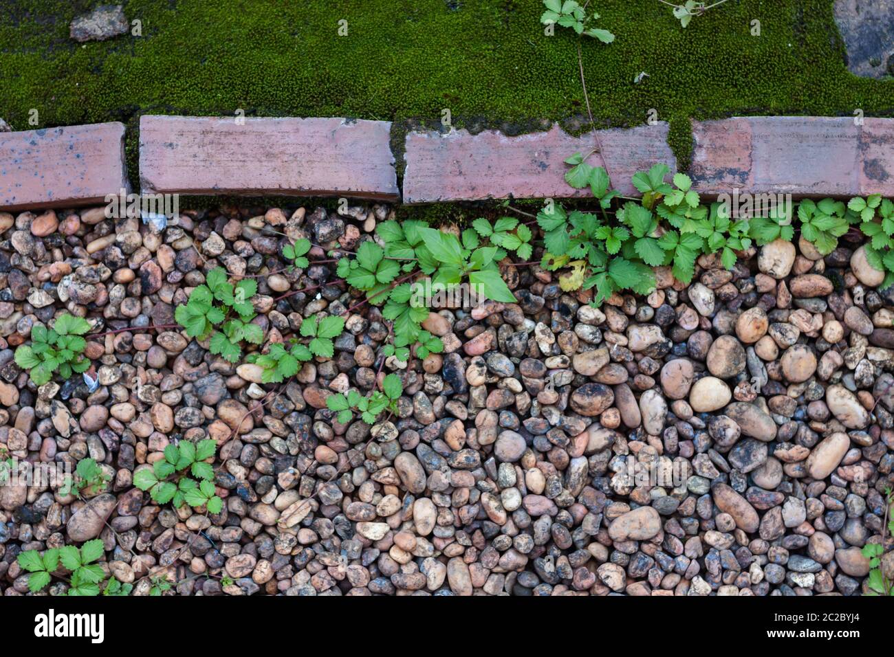 Pebble stones and bricks abstract background, stock photo Stock Photo ...