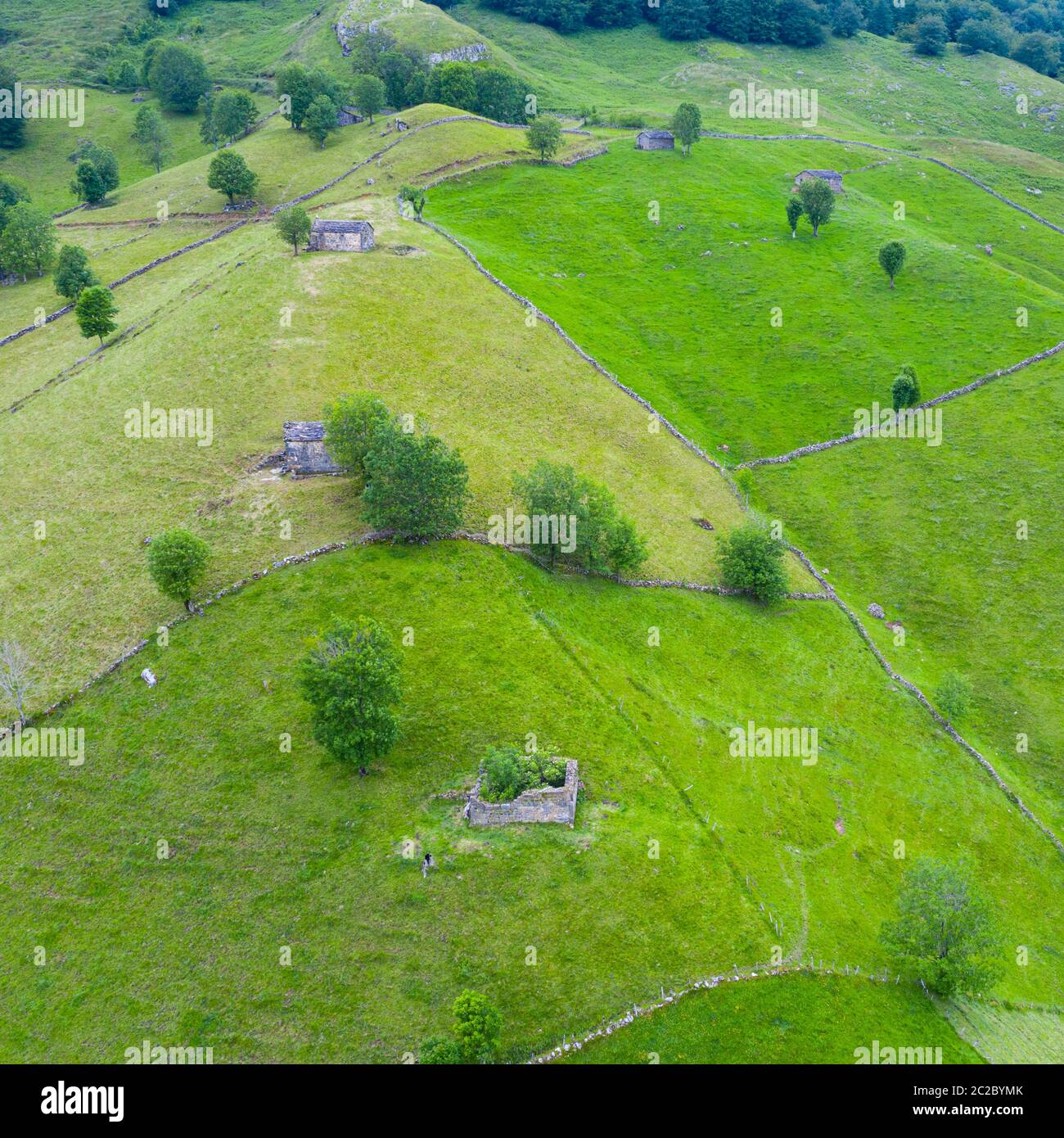 Aerial view with a drone of the spring landscape of pasiegas cabins and ...