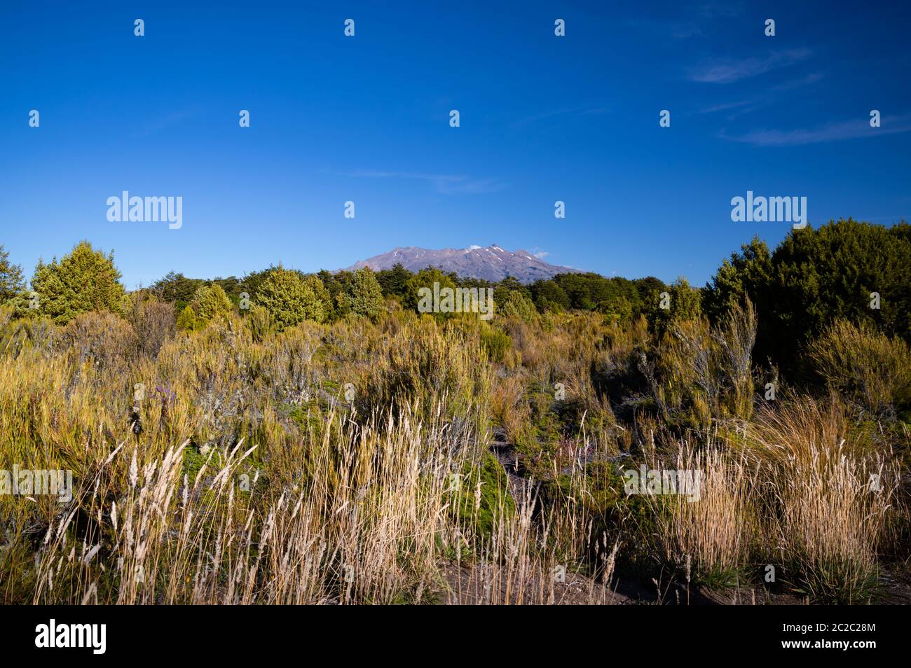 A sunny summer day with blue skies over Tongariro national park on New ...