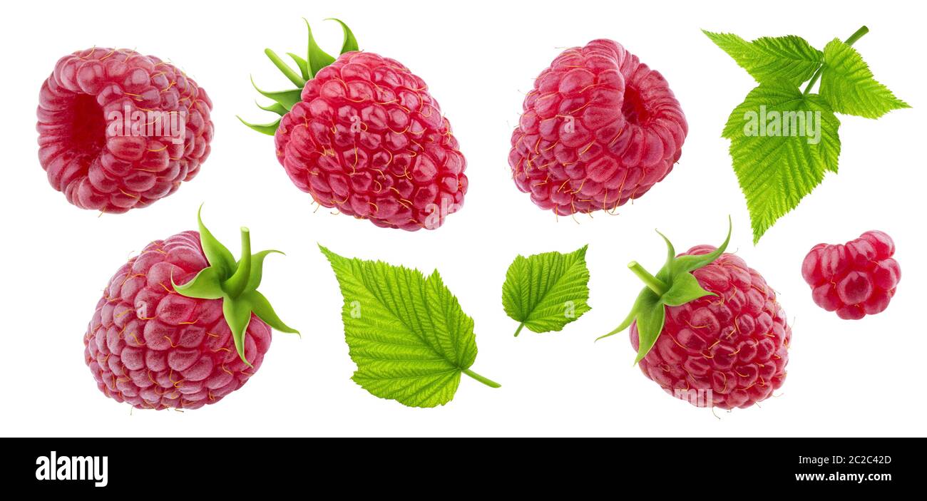 Raspberry collection isolated on white background Stock Photo - Alamy