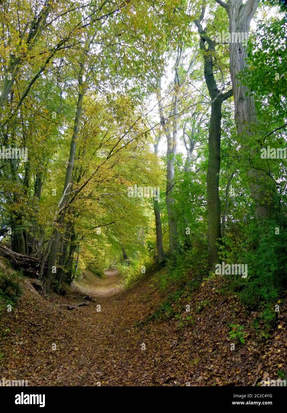 Soft path hi-res stock photography and images - Alamy