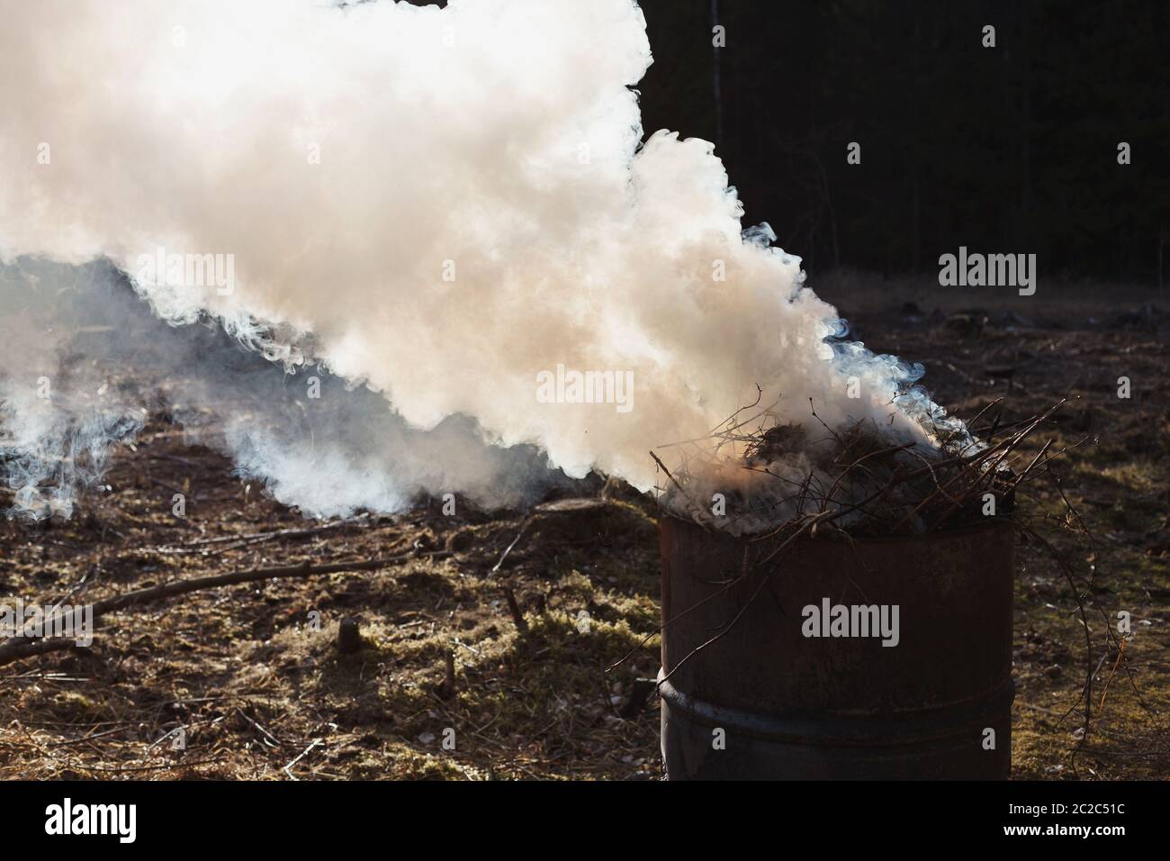 Heavy smoke flowing from rusty old metallic barrel while burning tree ...