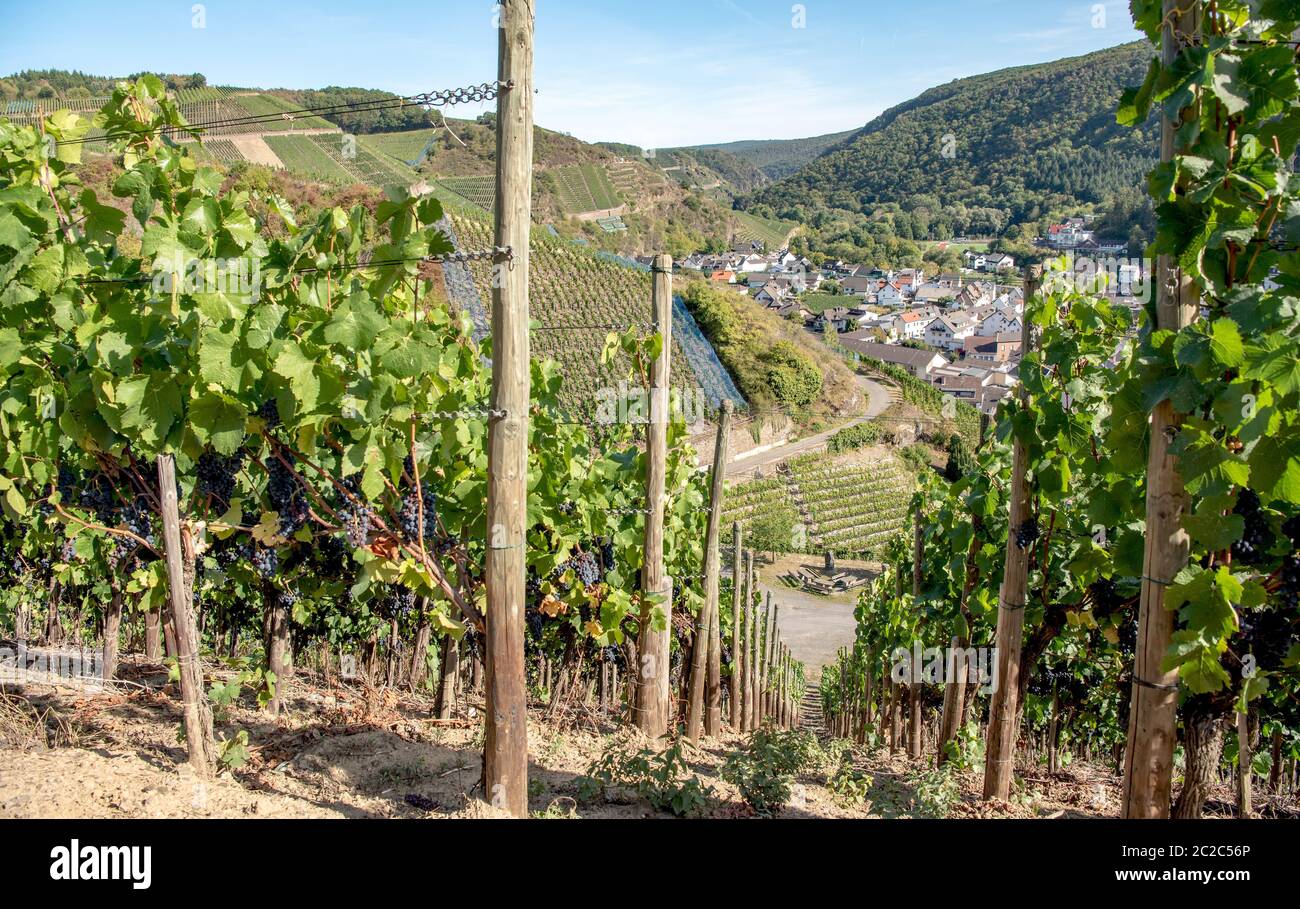 Valley of the ahr hi-res stock photography and images - Alamy