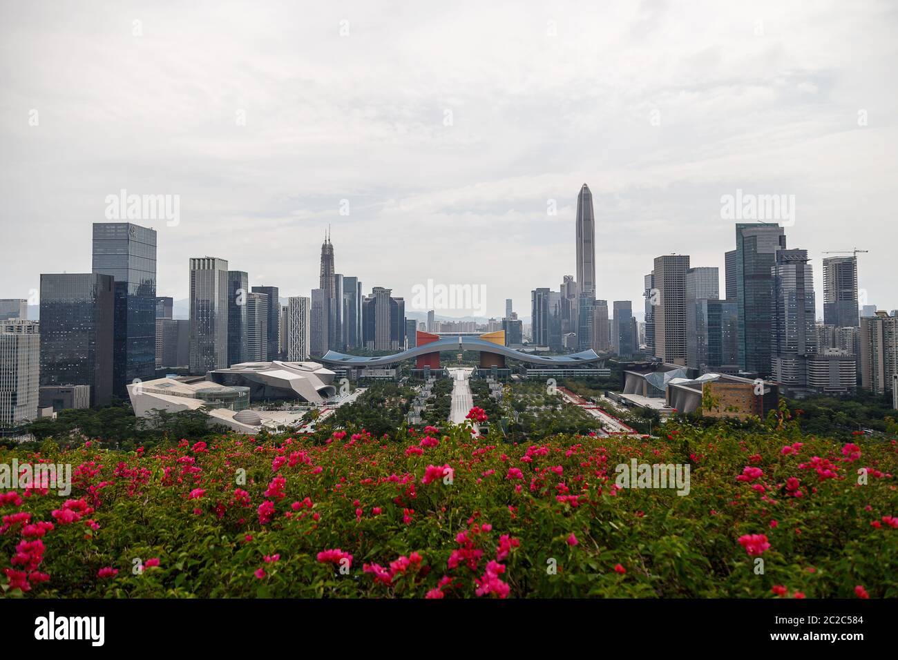 View of the metropolis from the hill, Shenzhen, China, Asia Stock Photo ...