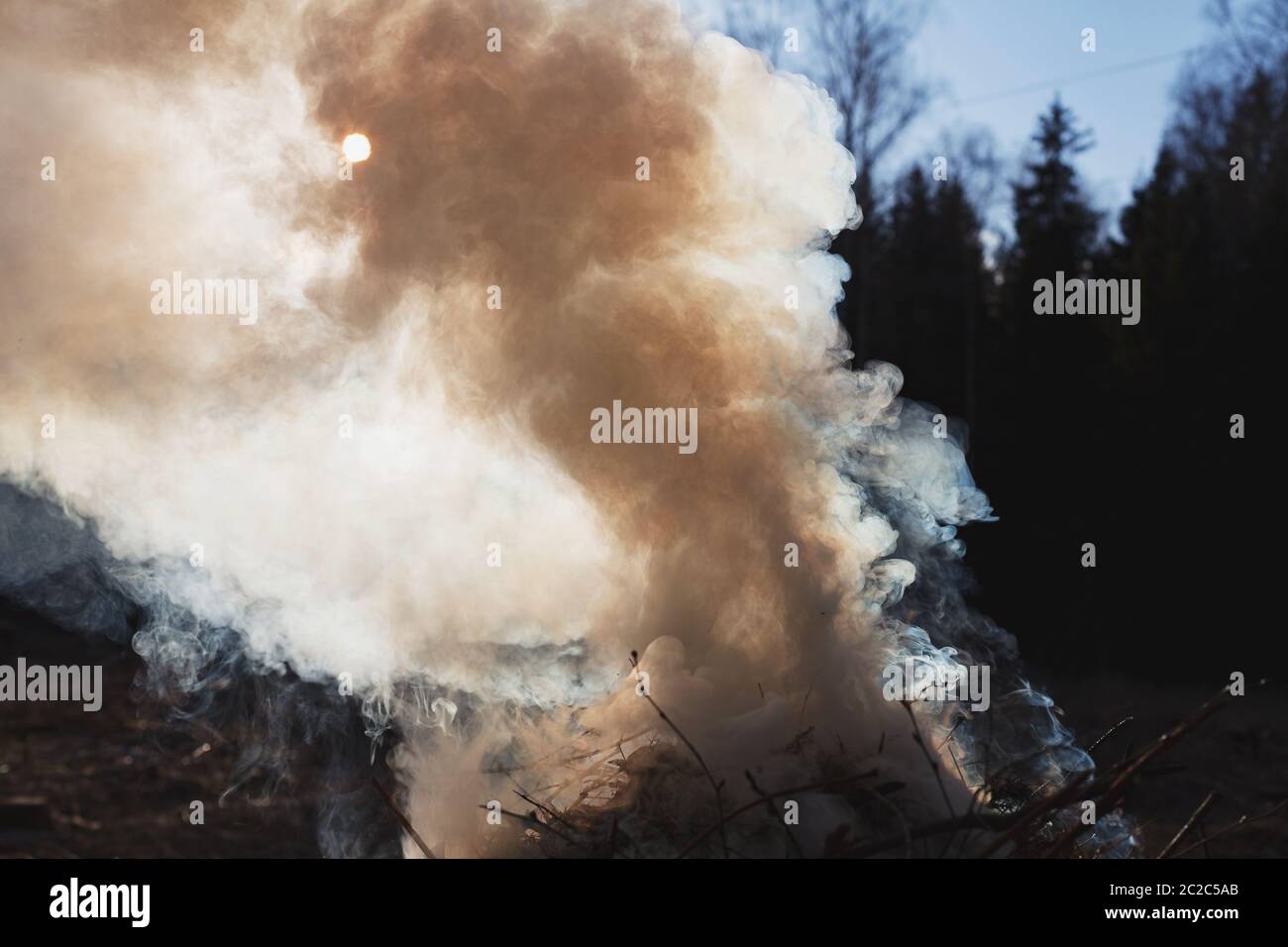 Thick smoke rising from burnin branches into clear blue spring sky ...