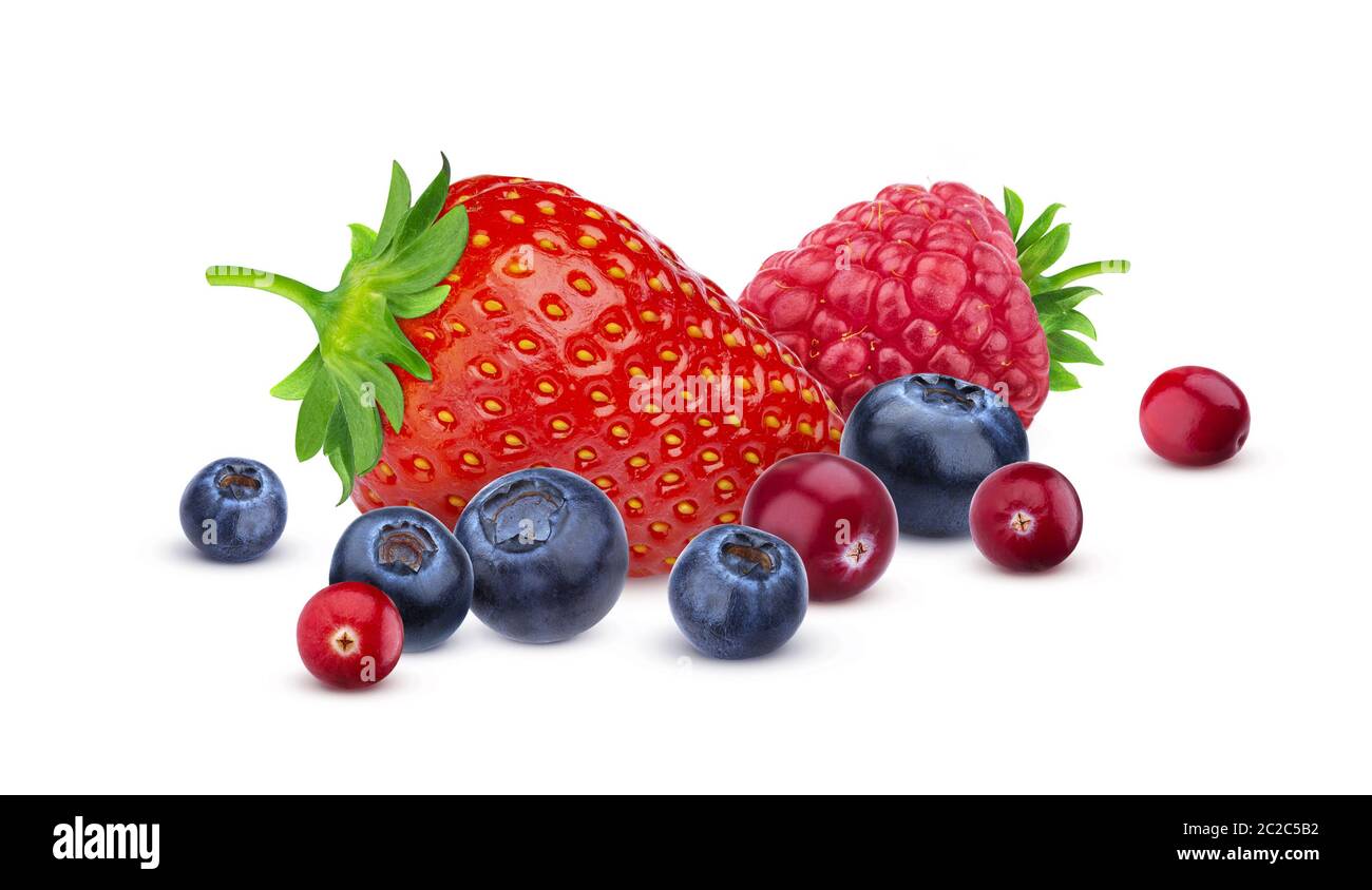 Different Types Of Berries Fruit Top 10 Easy To Grow Fruit Trees