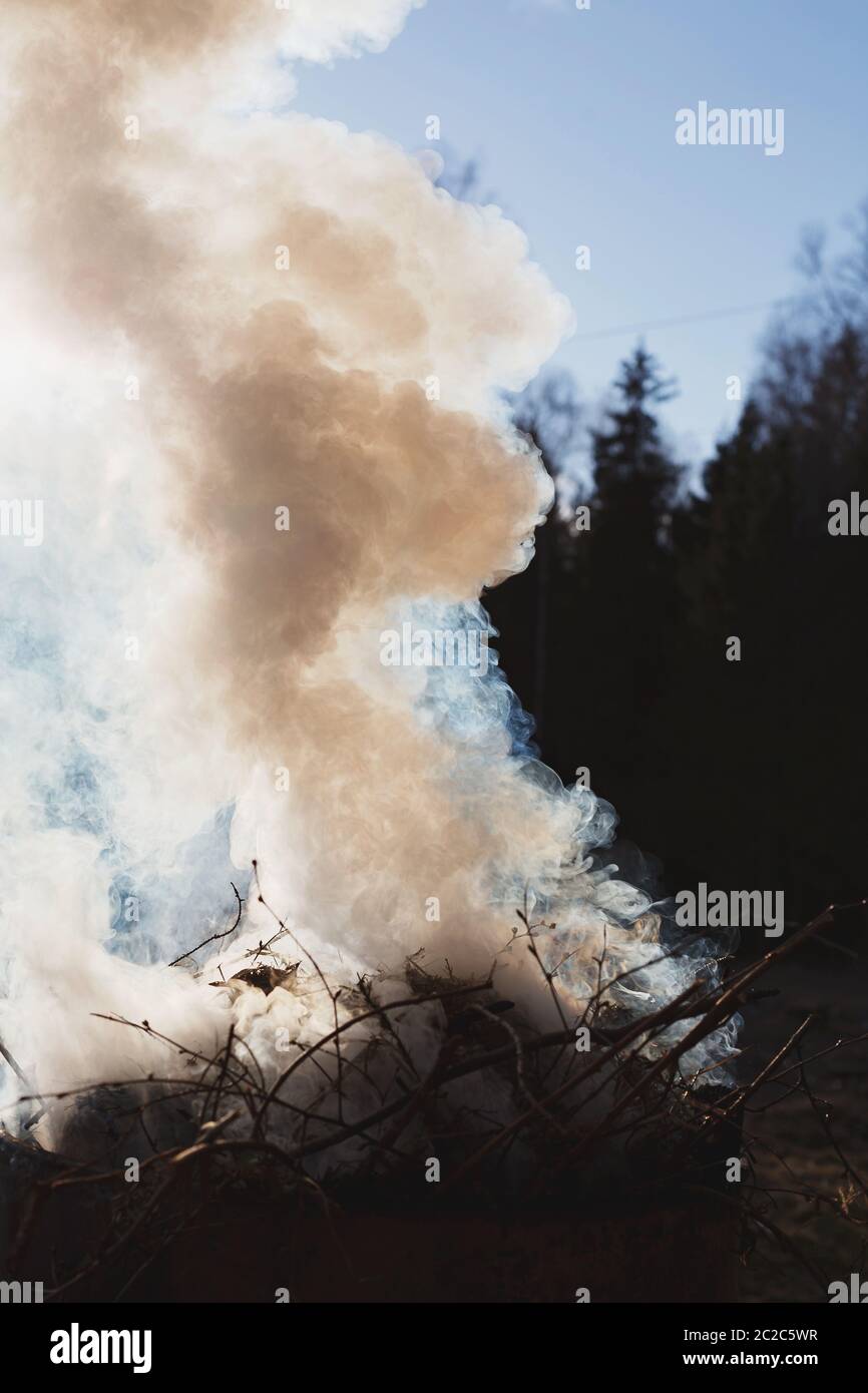 Thick smoke rising from burnin branches into clear blue spring sky ...