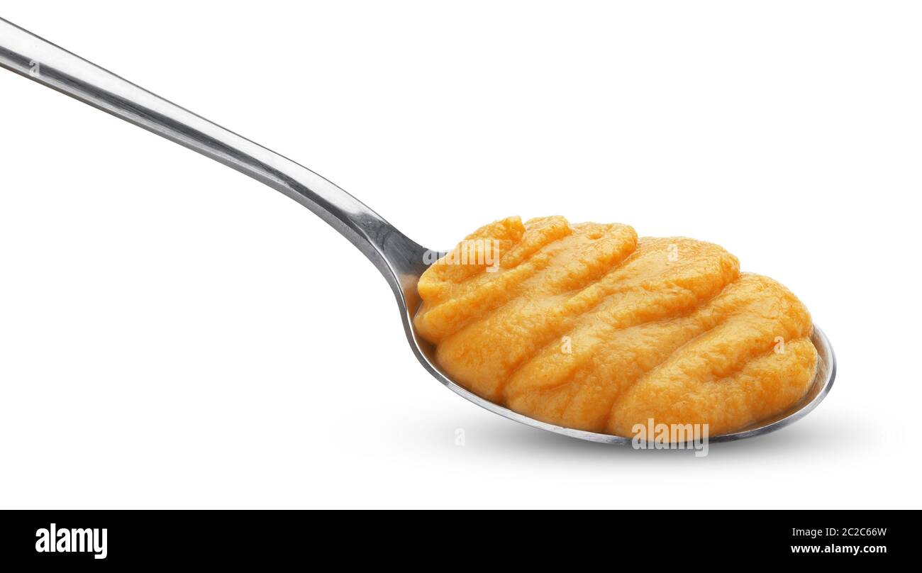 Pumpkin and carrot baby puree in spoon isolated on white background ...