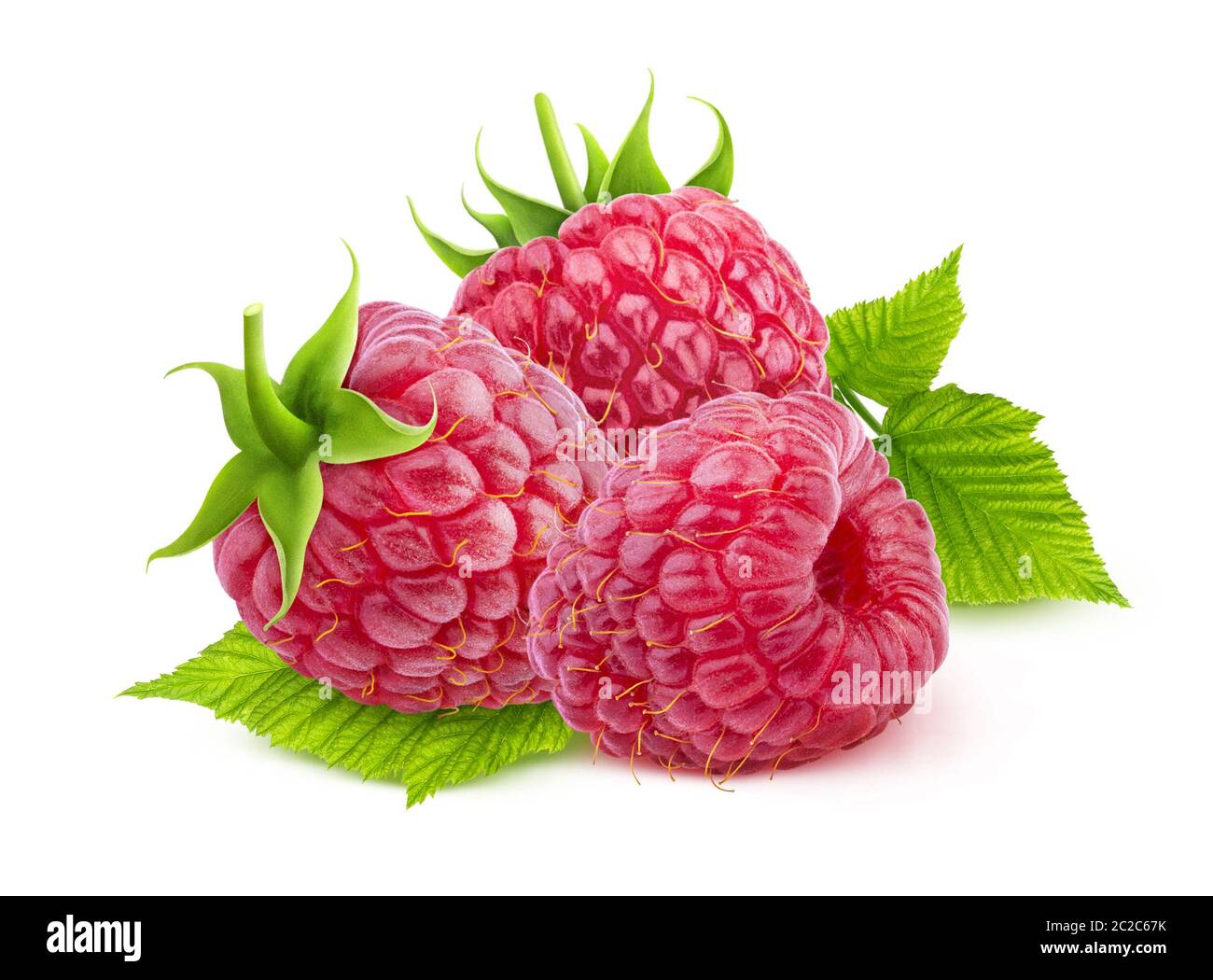 Raspberry isolated on white background with clipping path Stock Photo ...