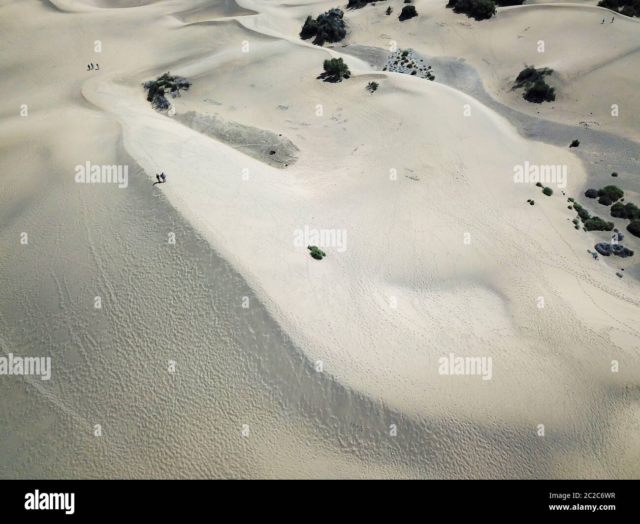desert withered earth sand Stock Photo - Alamy