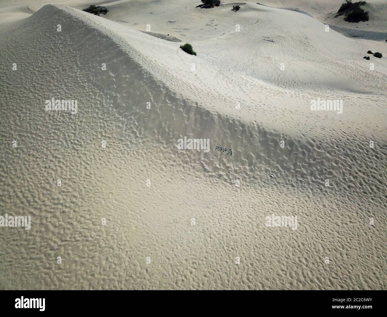 desert withered earth sand Stock Photo - Alamy