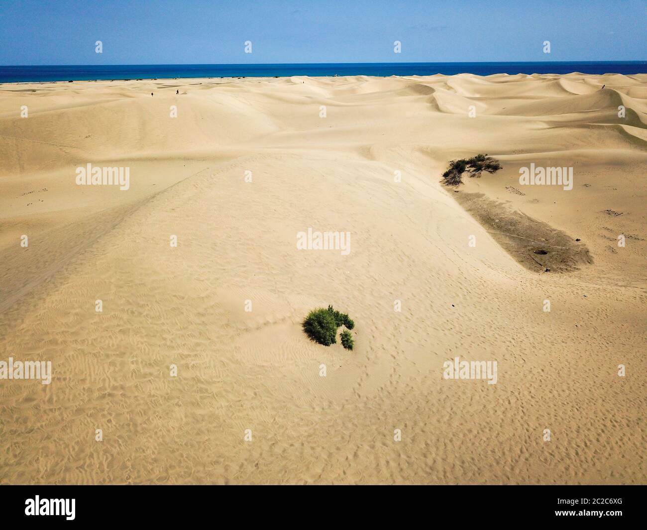 desert withered earth sand Stock Photo - Alamy