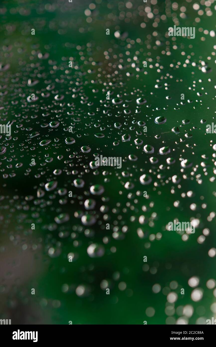 Spring from the house window Stock Photo - Alamy