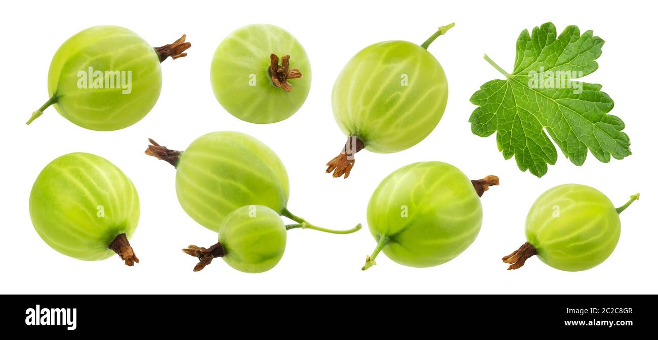 Green gooseberry isolated on white background, collection Stock Photo ...