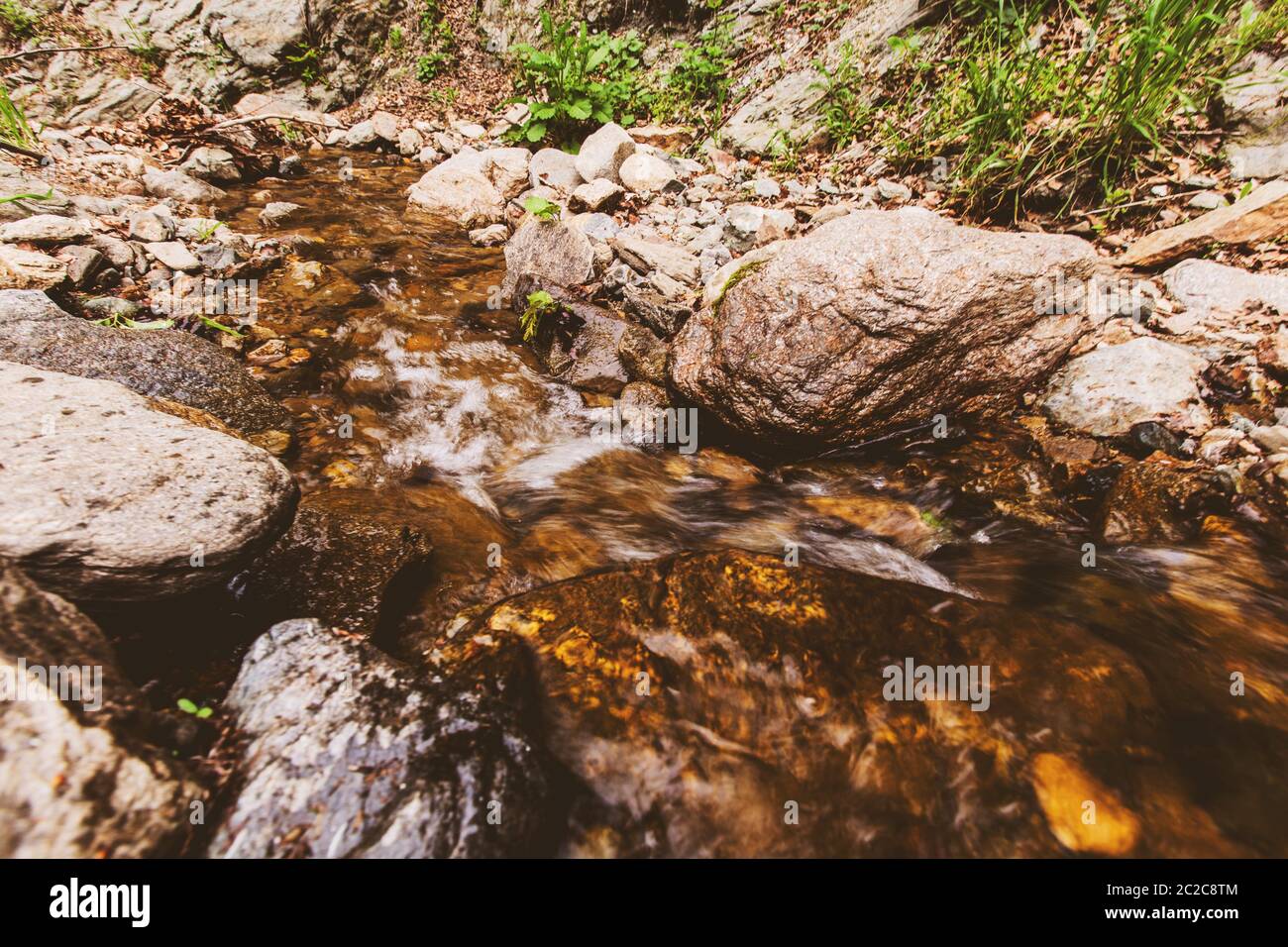 Clear freshwater, forest rocky creek, spring day in nature Stock Photo ...