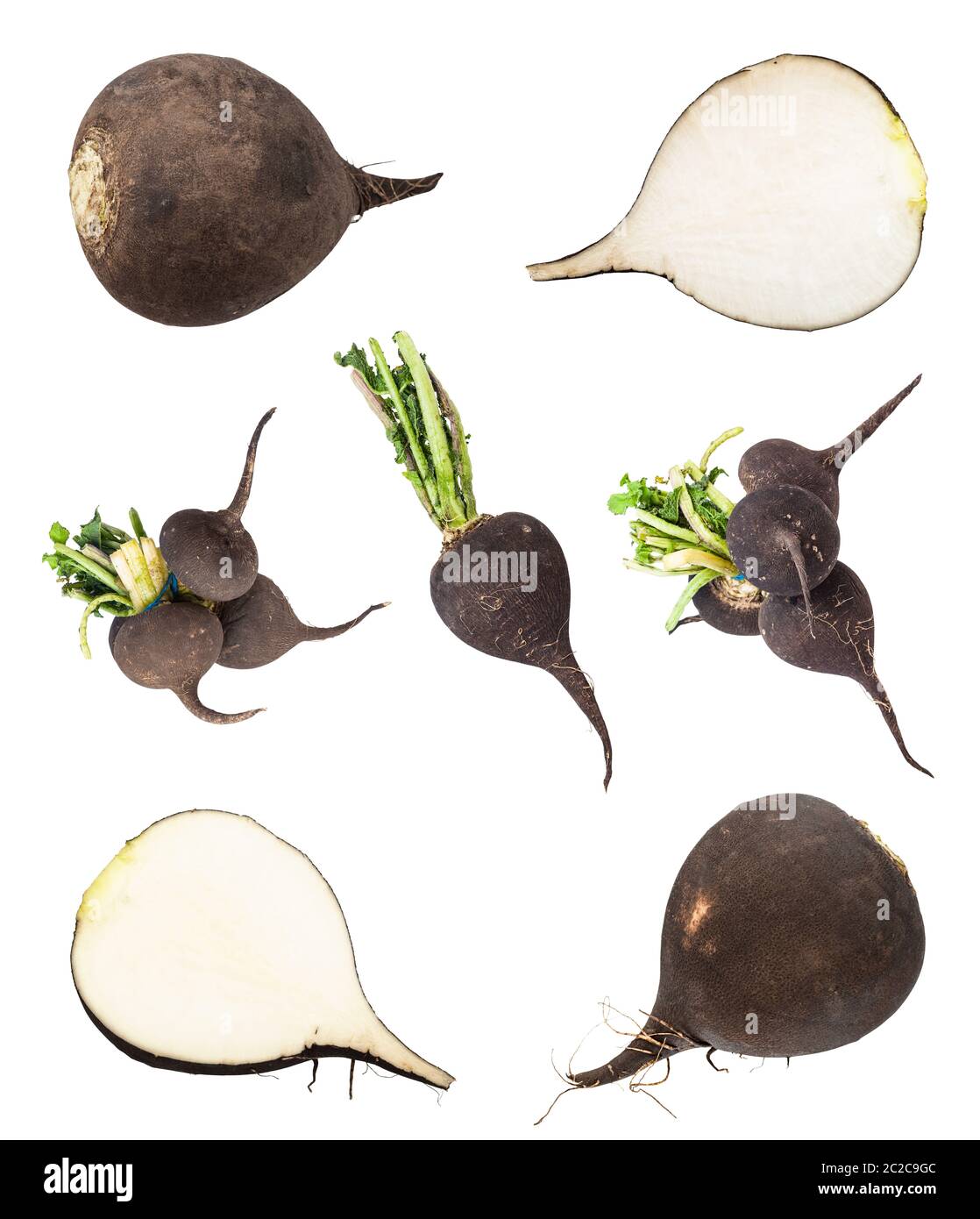 set from various black radish taproots isolated on white background ...