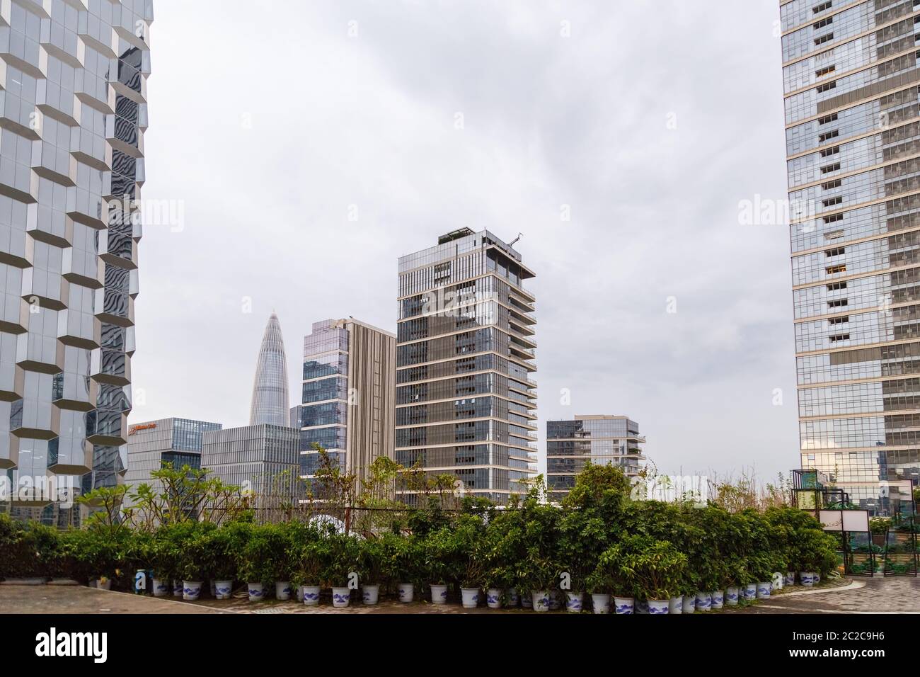 View of the metropolis from the rooftop cafe Shenzhen, China, municipal ...