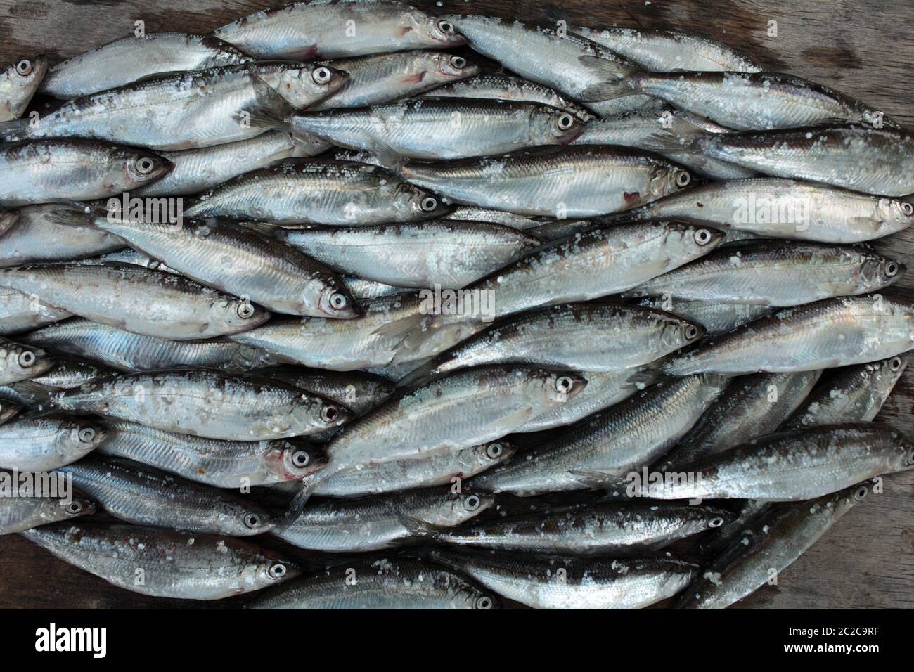fish market pile small fish vendace, close to Stock Photo - Alamy
