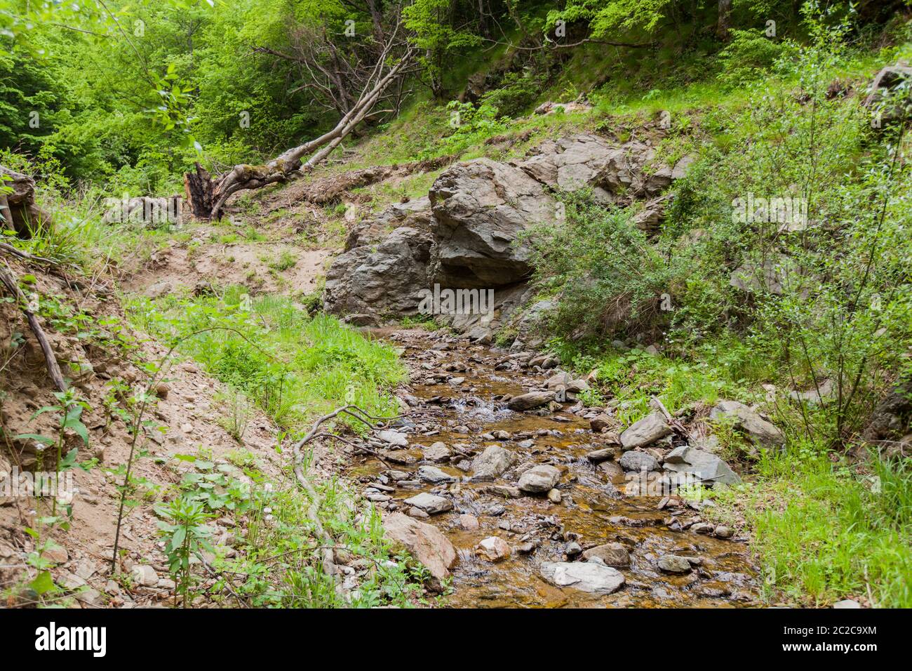 Forest rocky creek, Clear freshwater, spring day in nature Stock Photo ...