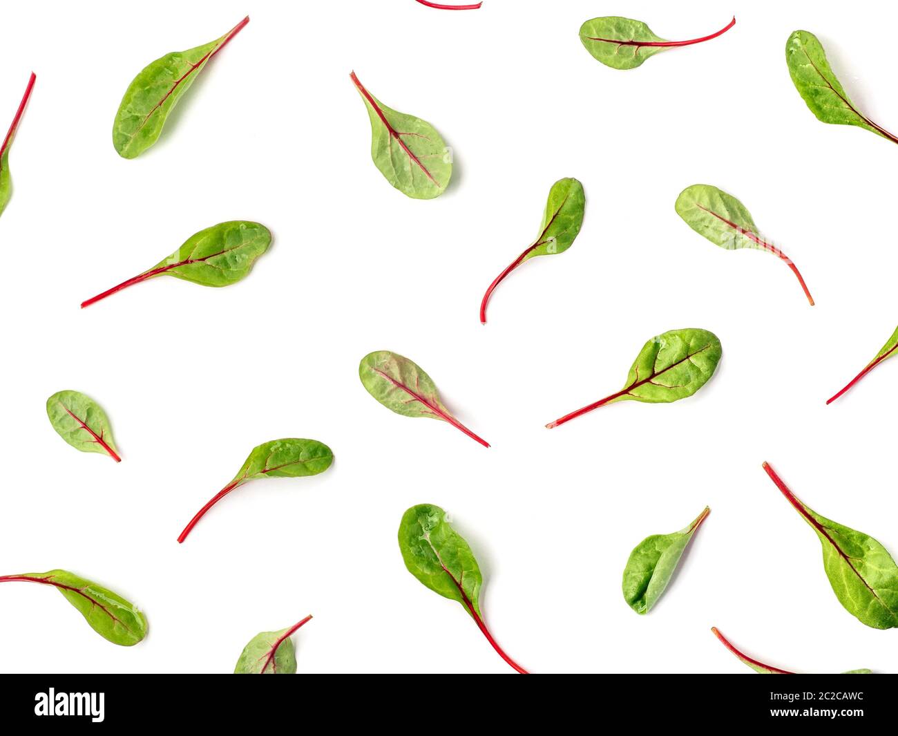 Swiss chard pattern hi-res stock photography and images - Alamy