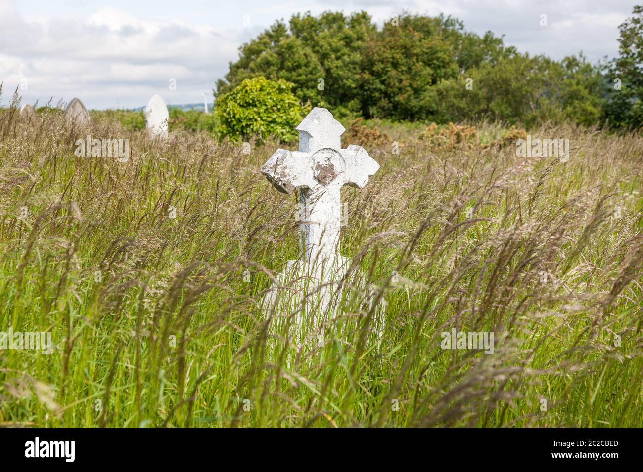 Ireland mountain goat goats hi-res stock photography and images - Alamy