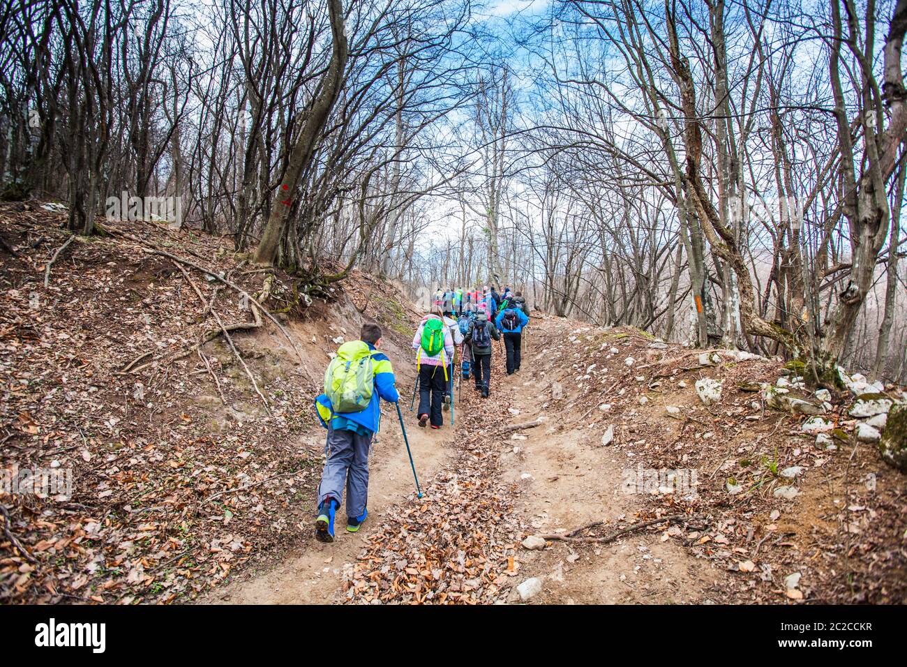 Large group of people hiking in forest. Outdoor nature healthy activity ...