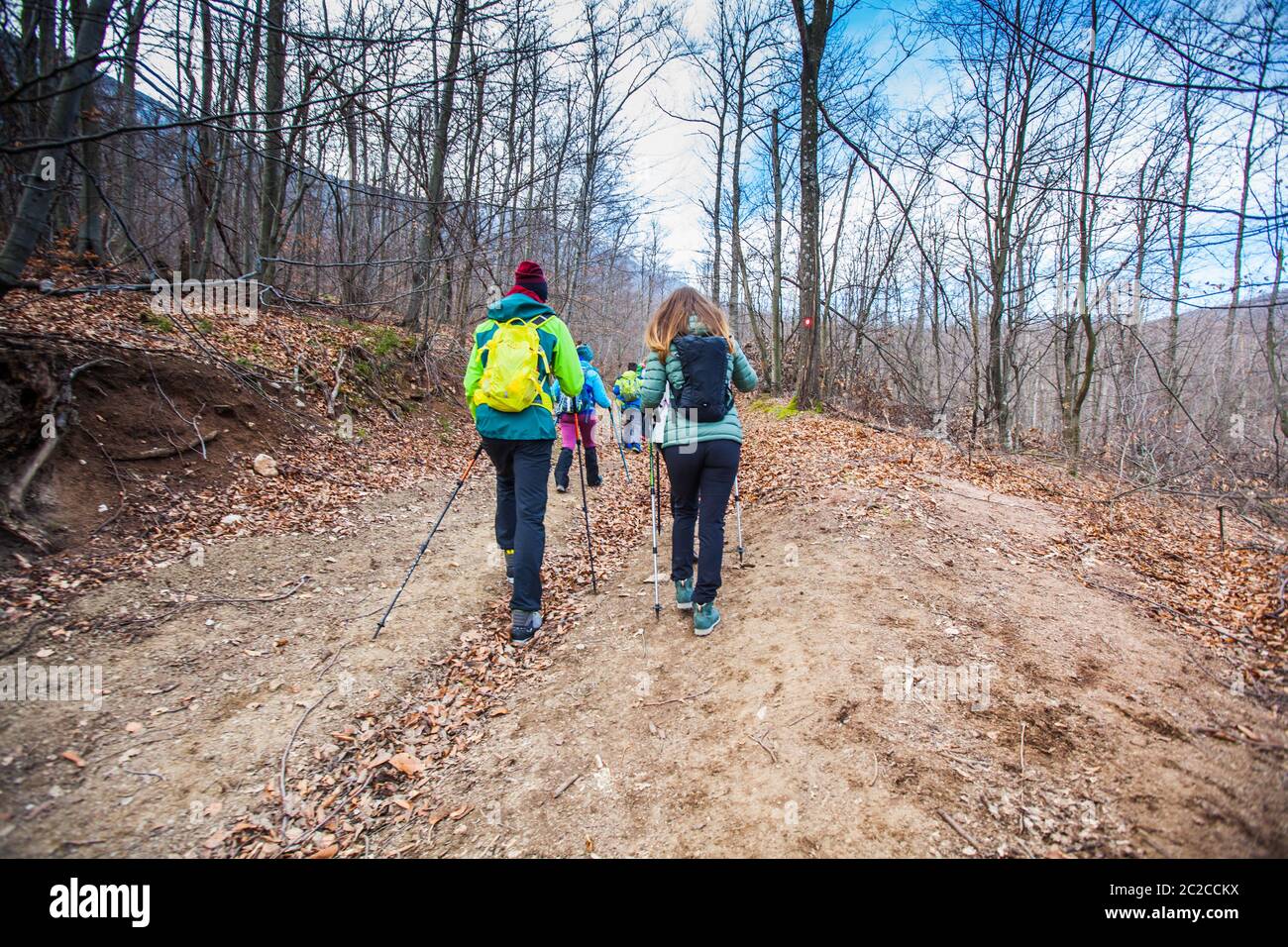 Large group of people hiking in forest. Outdoor nature healthy activity ...