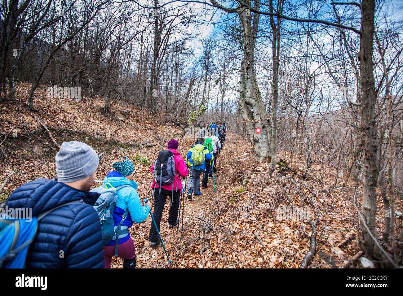 Large group of people hiking in forest. Outdoor nature healthy activity ...