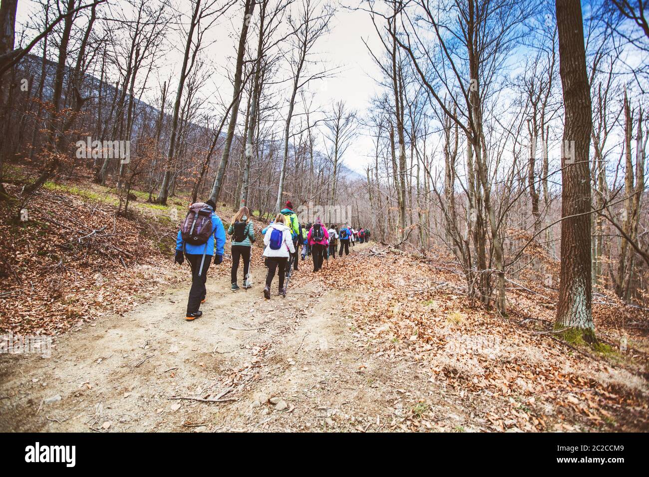 Large group of people hiking in forest. Outdoor nature healthy activity ...