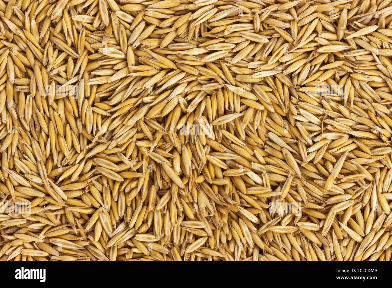 Oat texture hi-res stock photography and images - Alamy