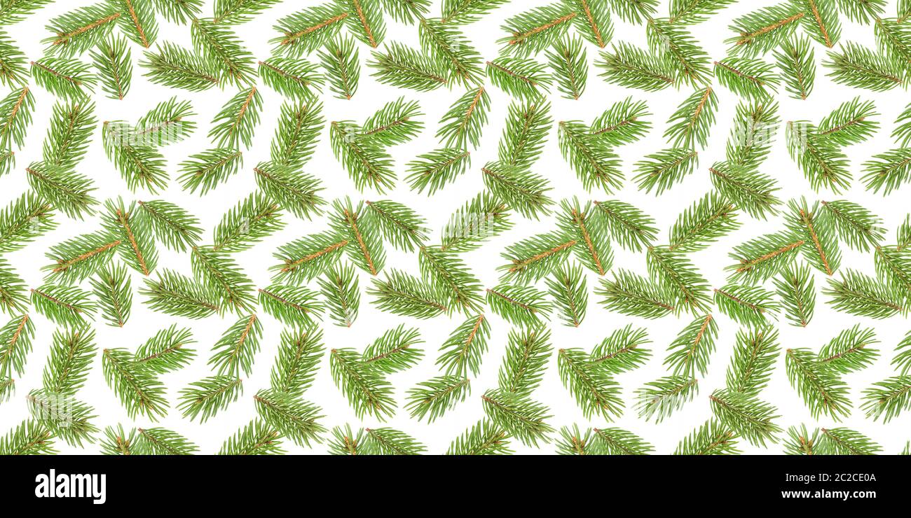 Fir tree branches seamless pattern, pine branch, Christmas conifer ...