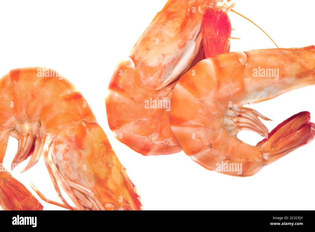 Close up of prawns shrimp on a white background Stock Photo - Alamy