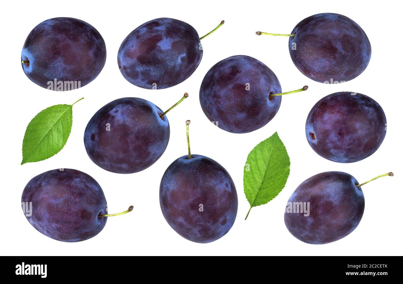 Plums isolated on white background, collection Stock Photo - Alamy