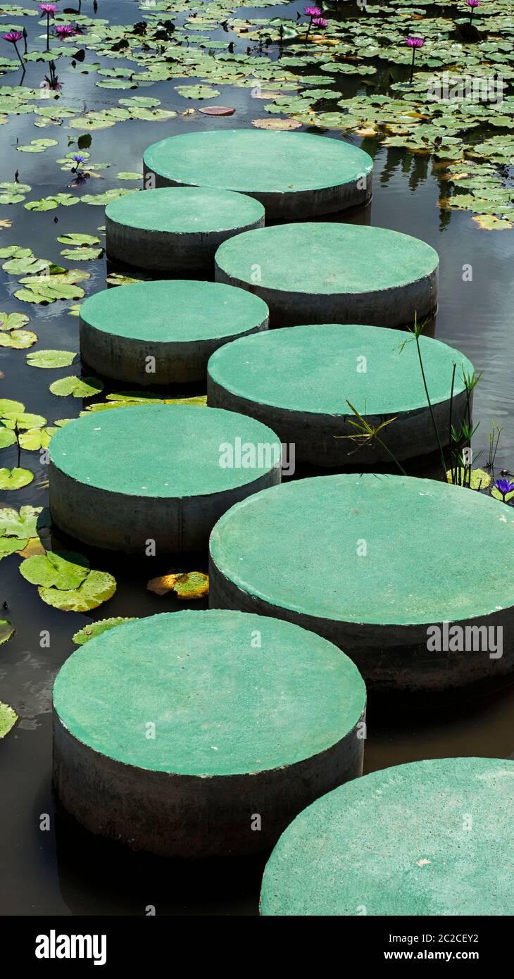 round concrete blocks steps footpath pond water nature Stock Photo - Alamy