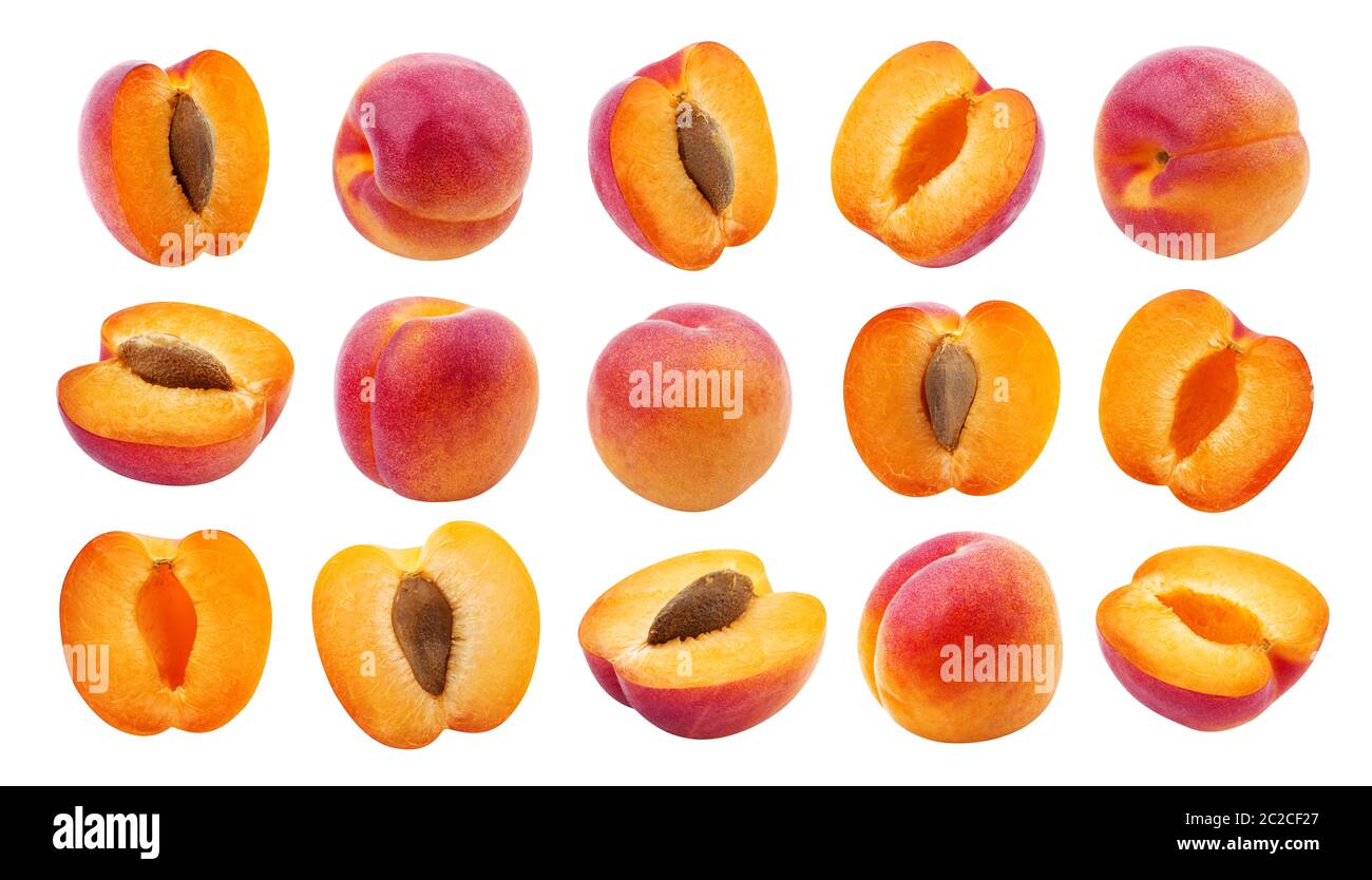 Apricot isolated. Collection of apricots isolated on white background ...