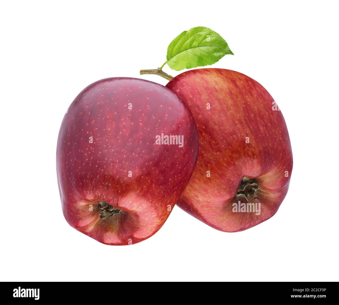 Two red apples on branch isolated on white background Stock Photo - Alamy