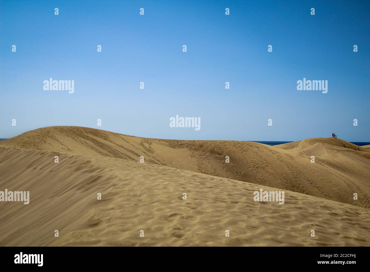 desert region with dunes under blue sky Stock Photo - Alamy