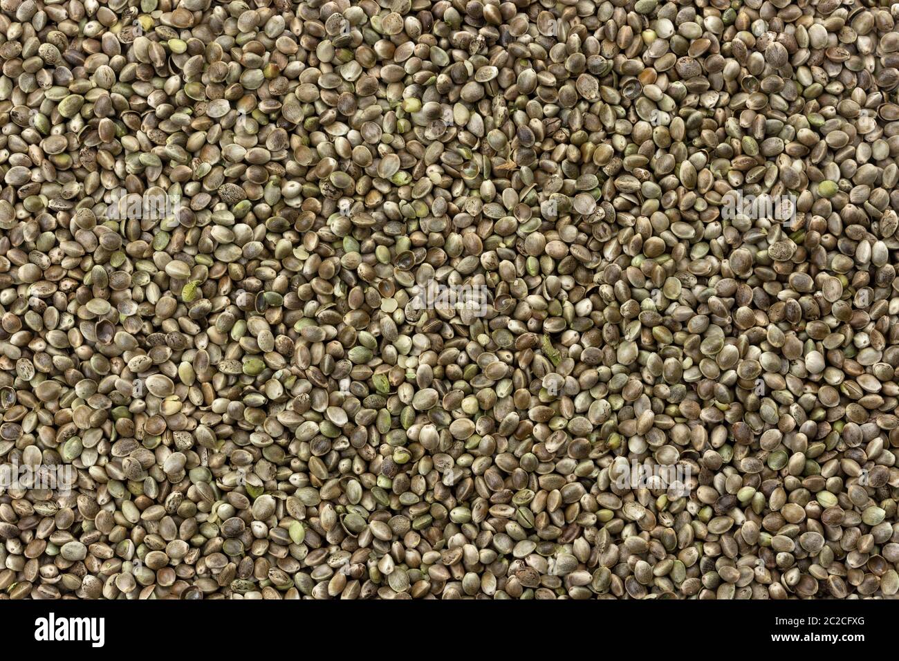 Hemp seeds texture, cannabis seeds background Stock Photo - Alamy